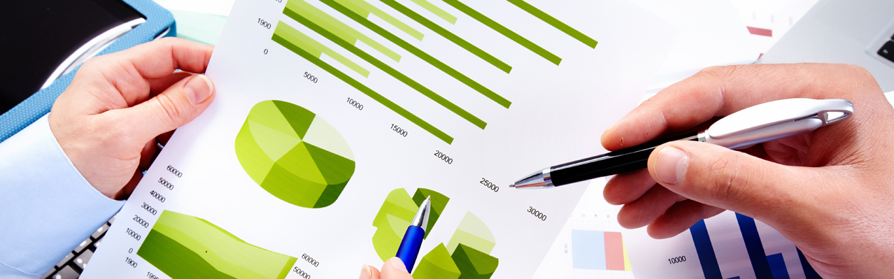 Tailored ERP Solutions, Delivered as Promised - PSI ERP